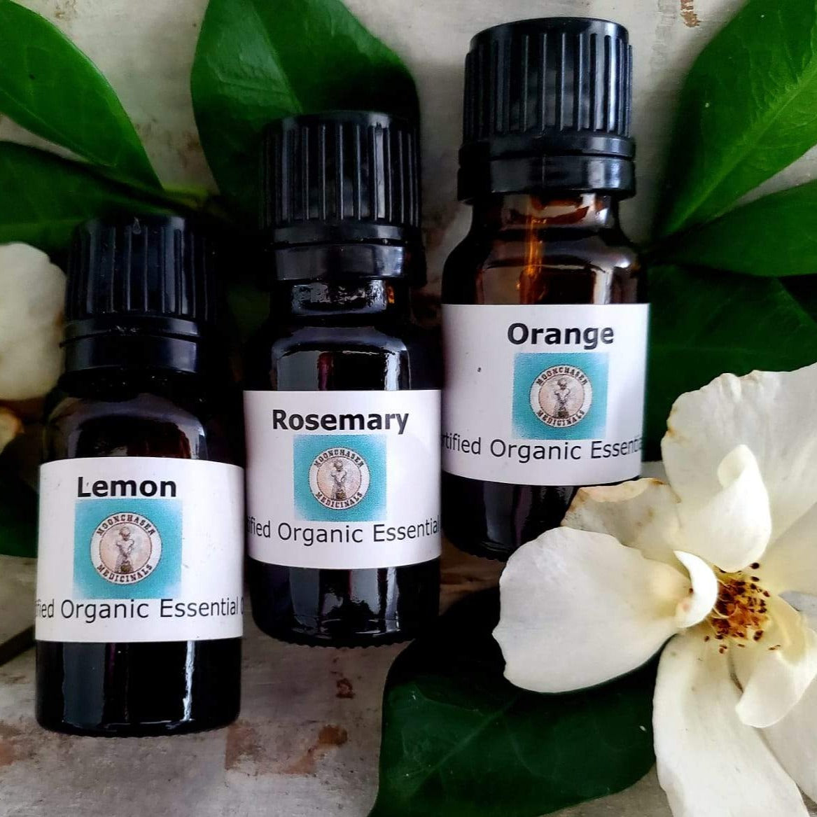 Single Essential Oils – Moonchaser Health